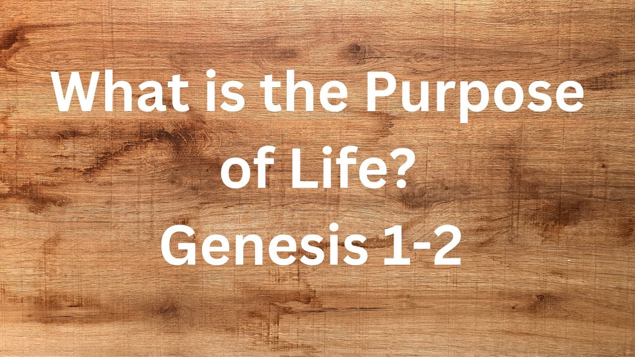 What is the Purpose of Life? Genesis 1-2 - YouTube