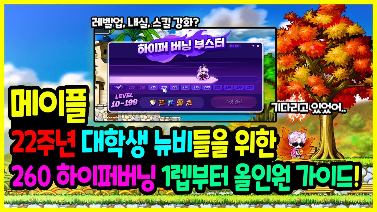 메이플스토리 22주년: 뉴비를 위한 260 레벨 하이퍼 버닝 올인원 가이드 | Vortex Gaming