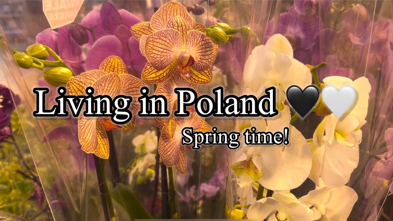 4K Daily Poland 🖤🤍 | Spring time in Poland, Poland vlog - YouTube