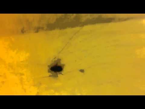 Breakdancing fly - YouTube