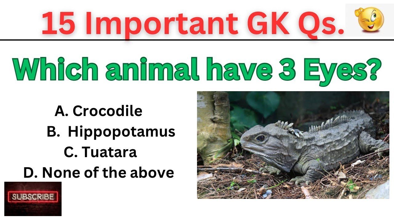 Discover the Ultimate GK Quiz: 15 Essential GS Questions - YouTube