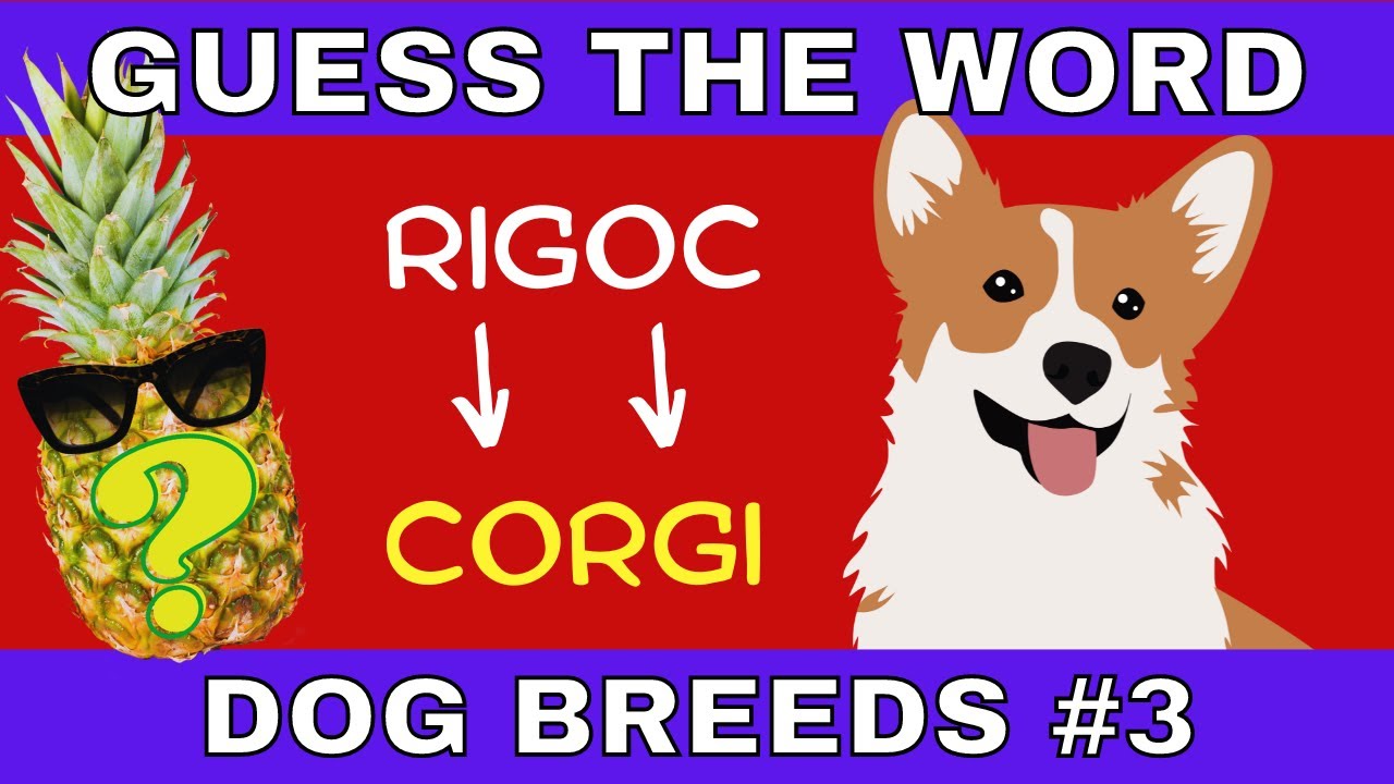 WORD SCRAMBLE GAME - DOG BREEDS Quiz #3: Jumbled Letter Puzzle. - YouTube