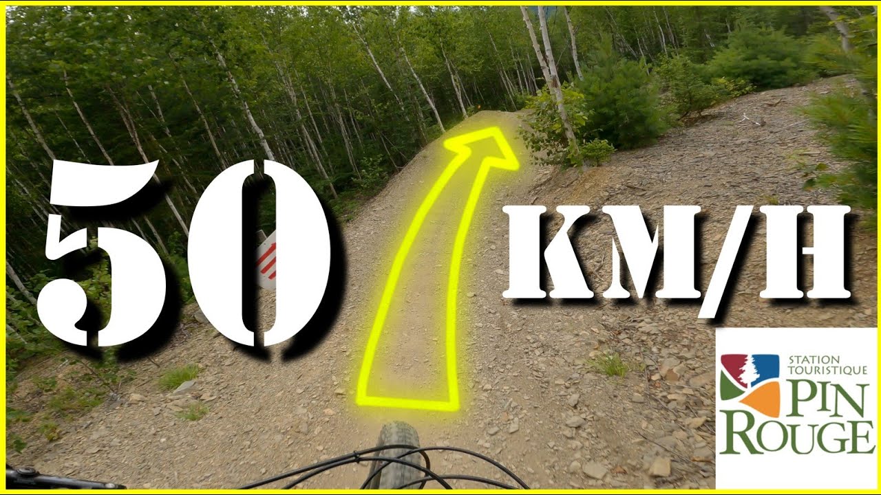 Découvrons : Pin Rouge - YouTube