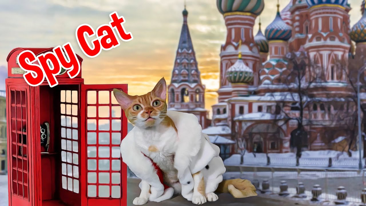 Cat is Secretly a Russian Spy - YouTube