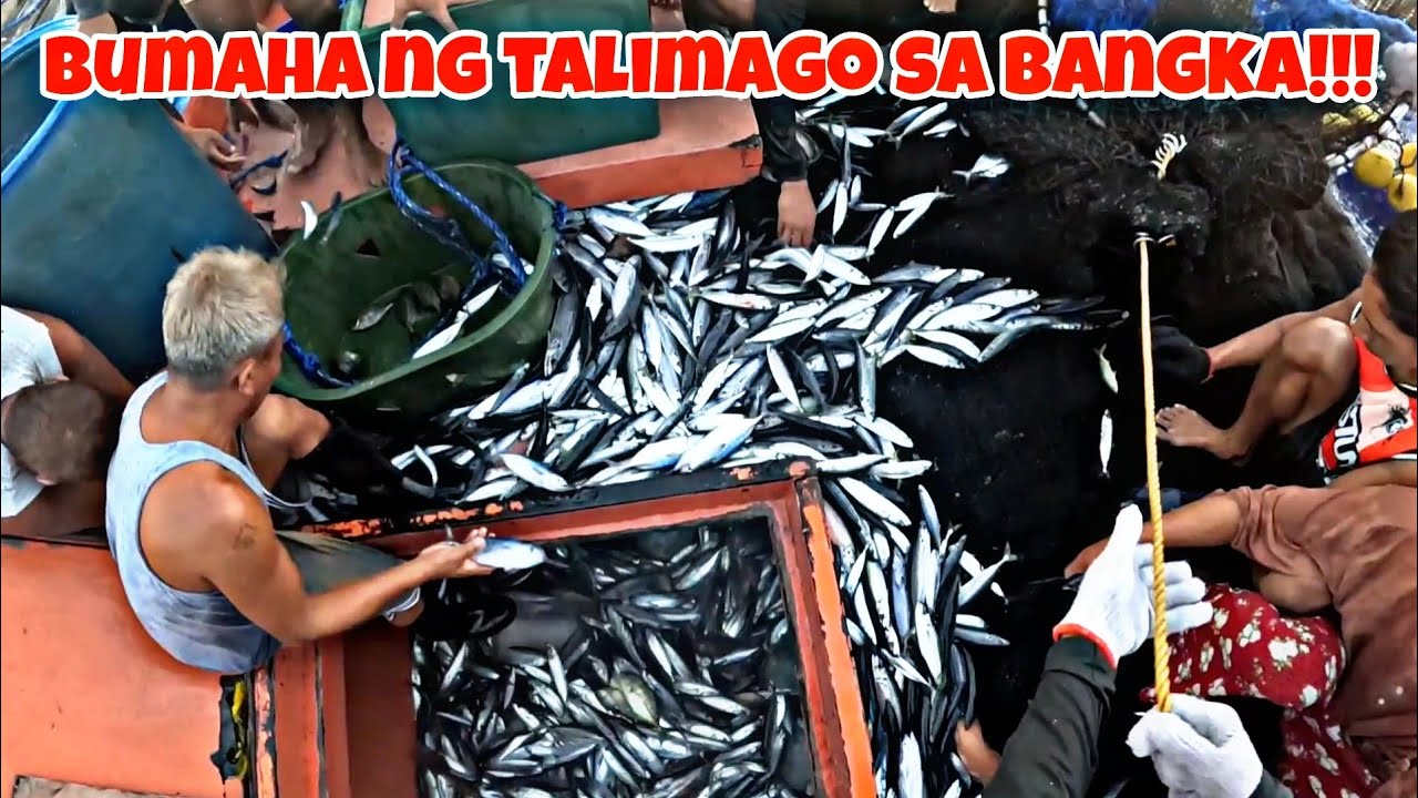 Nagkagulo bumaha ng talimago sa bangkang jhoam 3 sa pacific ocean - YouTube