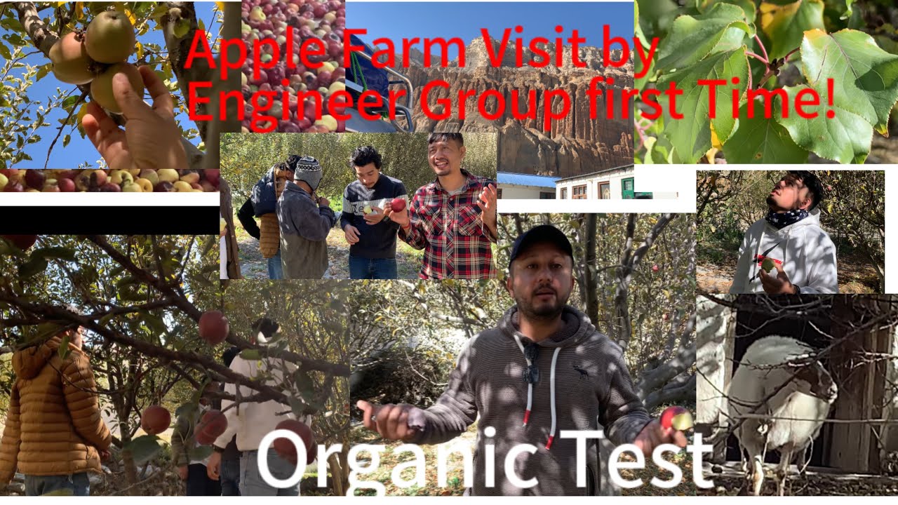 Mustang Apple Farm Visit | Organic Test Fast | Engineer Group - YouTube