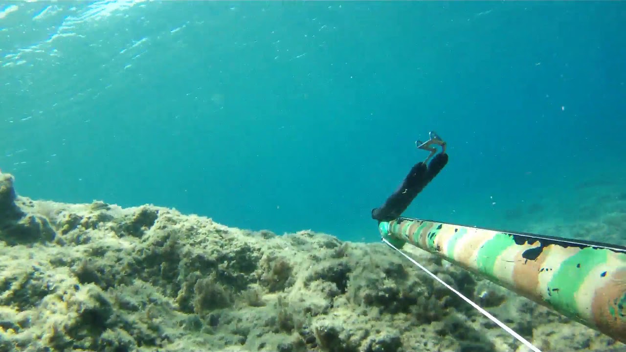 ψαροντουφεκο 5 7 2018 μονο ασπρα spearfishing - YouTube