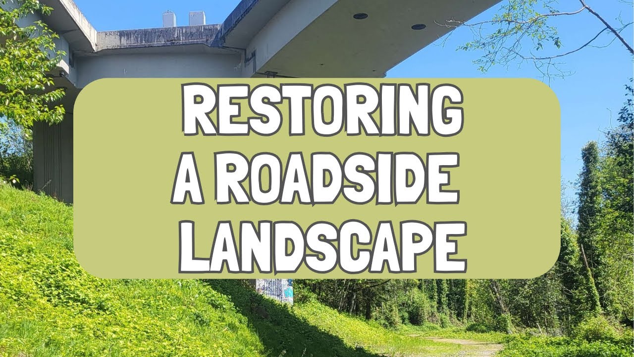 Restoring a Roadside Landscape: A Case Study - YouTube