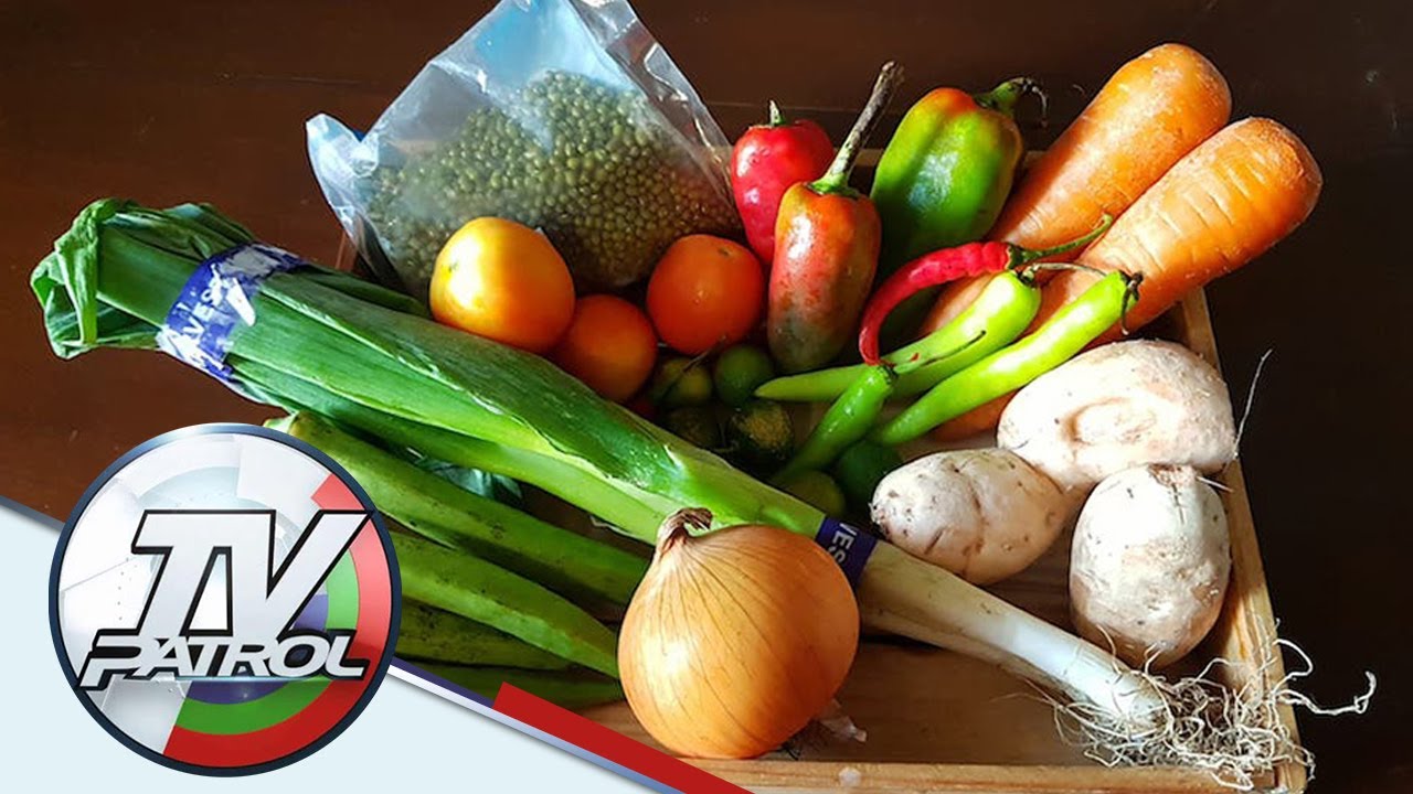 Vegetable Garden | TV Patrol South Central Mindanao - YouTube