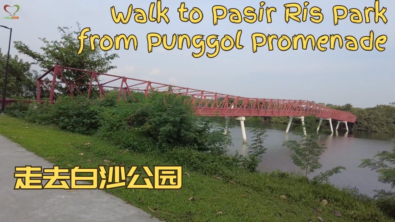Walk to Pasir Ris Park 走去白沙公园 | #PunggolPromenade | #Shinykoh vlog ...