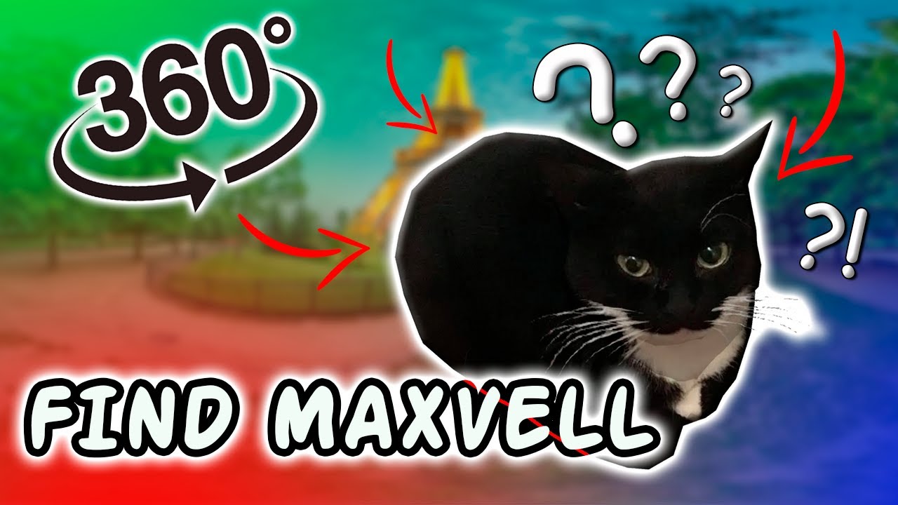 Can you find Maxwell cat? But It's 360 degree video #2 - YouTube