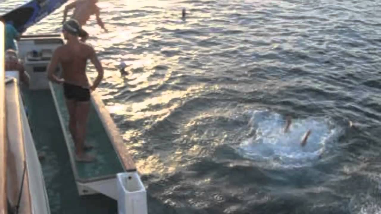 "Boat to Beach" Ocean Swimming Event - YouTube