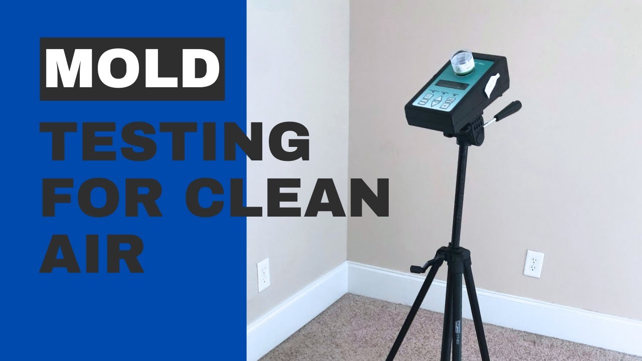 AVOID These Mold Risks: Indoor Air Quality Testing EXPLAINED! - YouTube