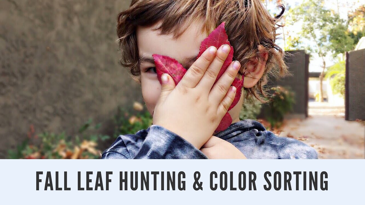 Collecting fall leaves | sensory play | counting and learning colors ...