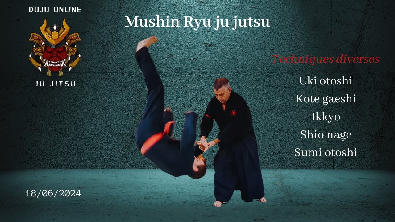 Techniques de Ju jitsu : ; shio nage; kata guruma; Kote gaeshi; Sumi ...