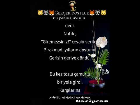 Gerçek dostluk