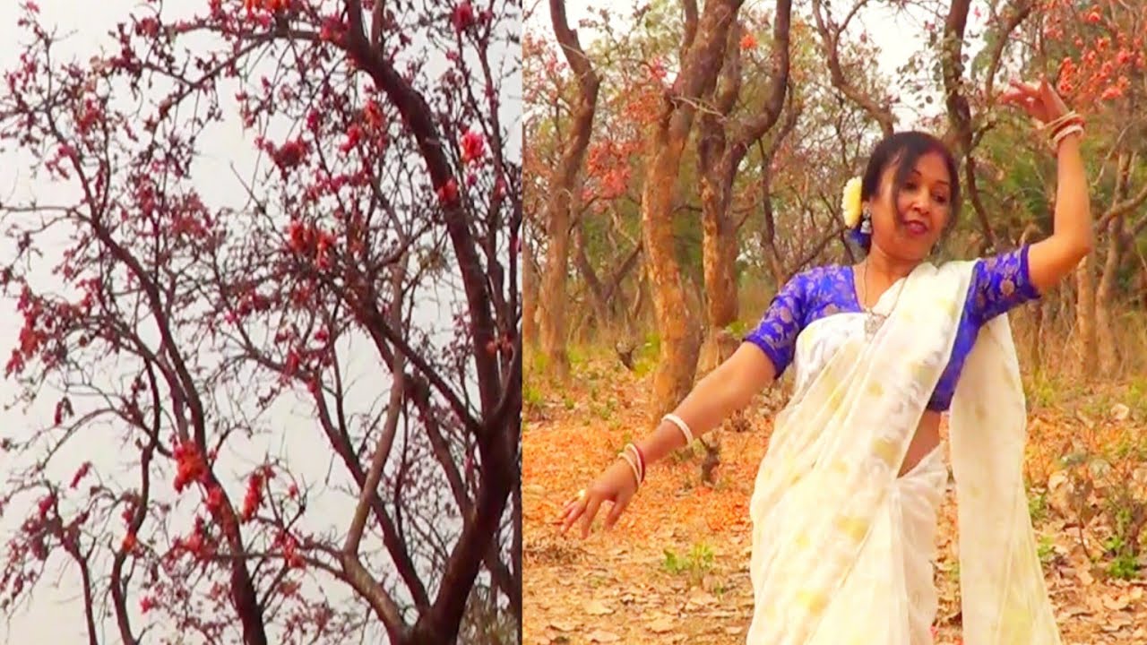 #Eso hai baisakh.(এসো হে বৈশাখ)Tagore song.Rabindra Sangeet.Dance by ...