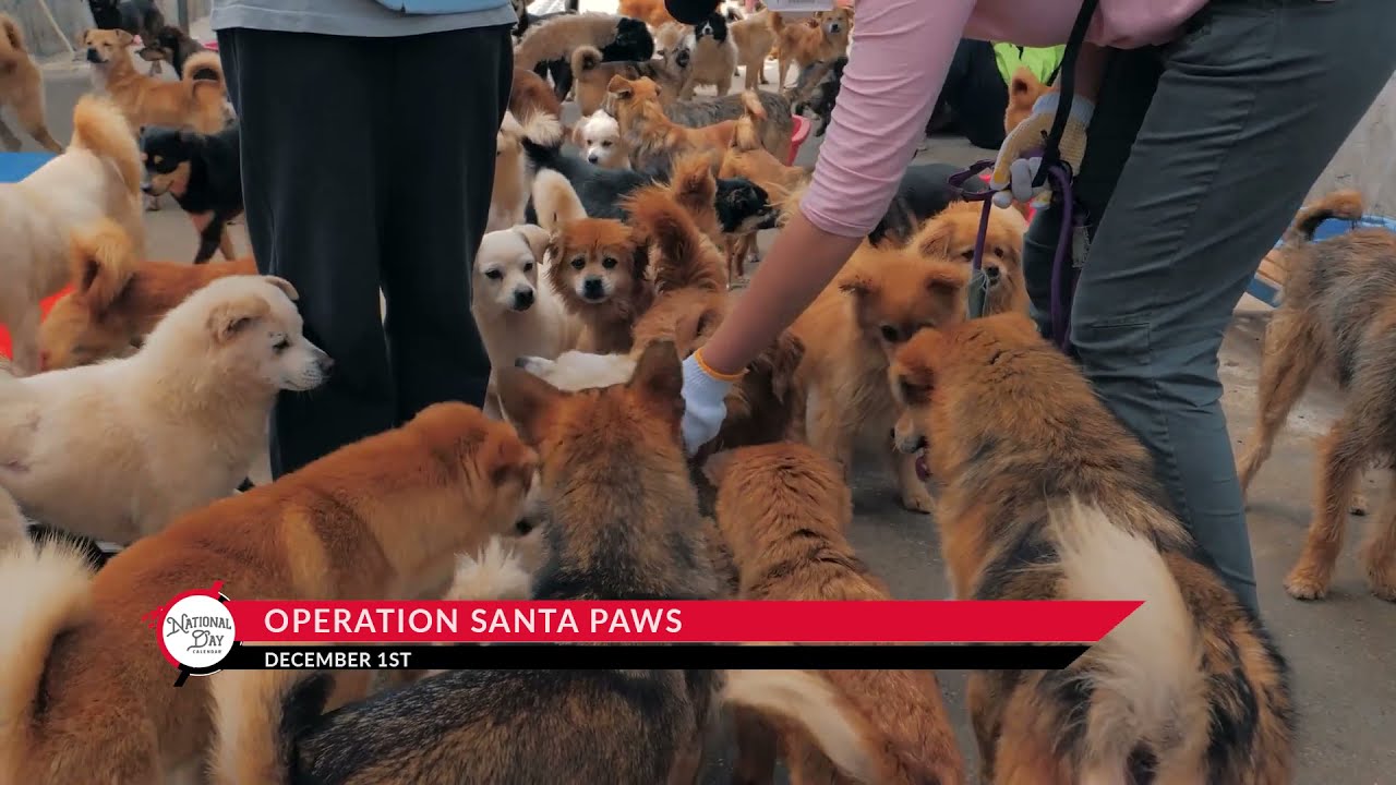 Operation Santa Paws in December - YouTube