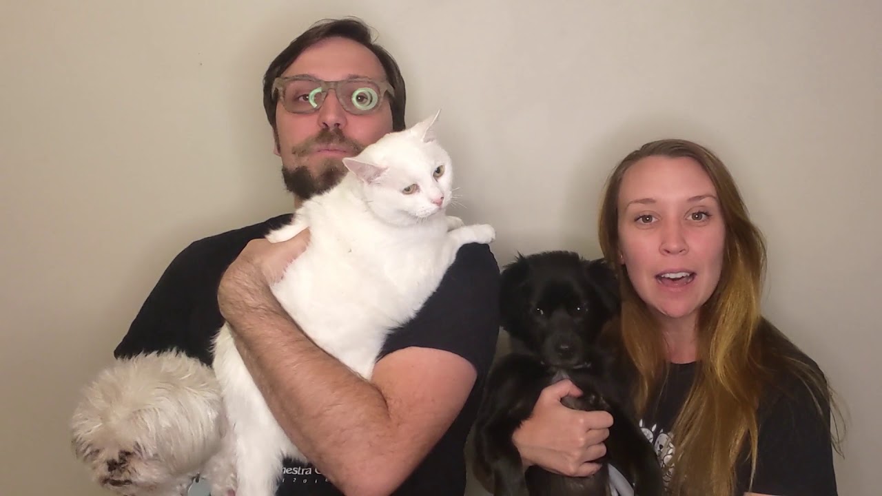 ANN Says Go to the Polls!: Katelyn Gault & Kyle McCarley - YouTube