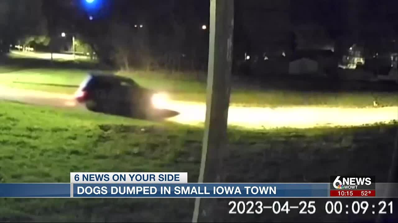 Dogs dumped in southwest Iowa town - YouTube
