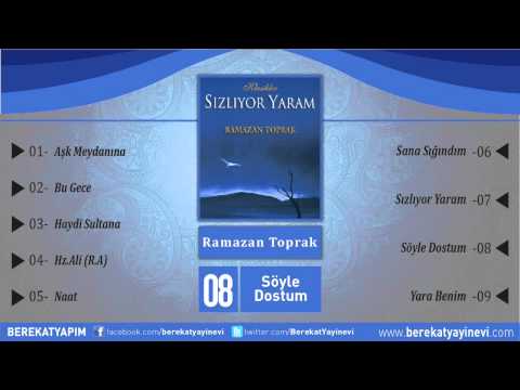 Ramazan Toprak - Söyle Dostum