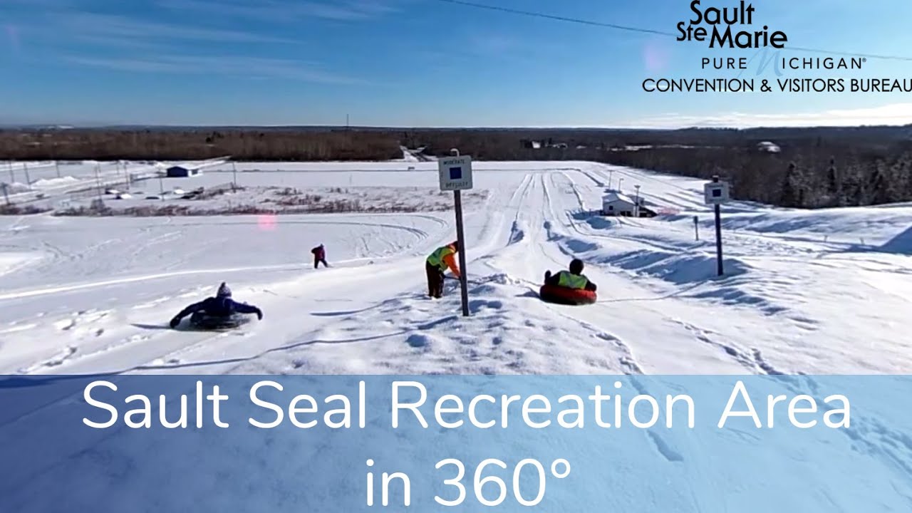 Sault Seal Recreation VR 360 Video - YouTube
