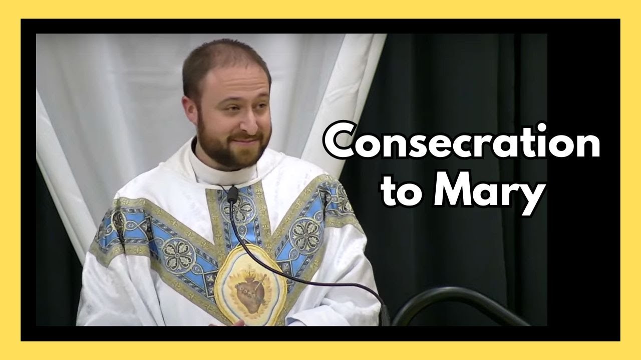 Solemnity of the Immaculate Conception Catholic Mass Homily - YouTube