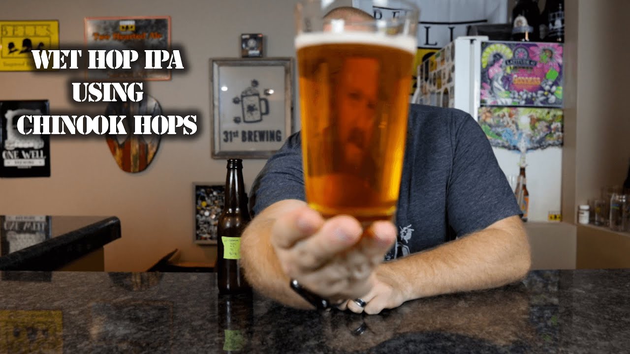 Homebrew Wet Hop Chinook IPA 40L x2 Tasting 2 - YouTube