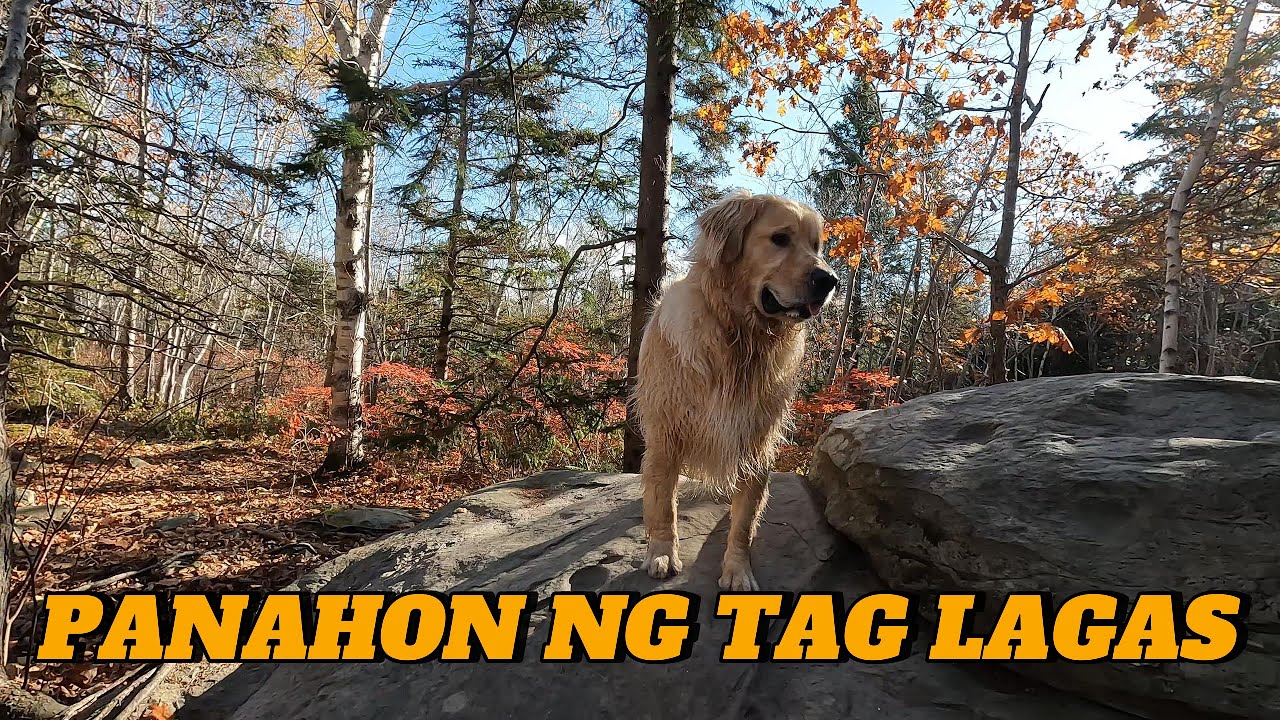 PANAHON NG TAG LAGAS / BUHAY CANADA - YouTube