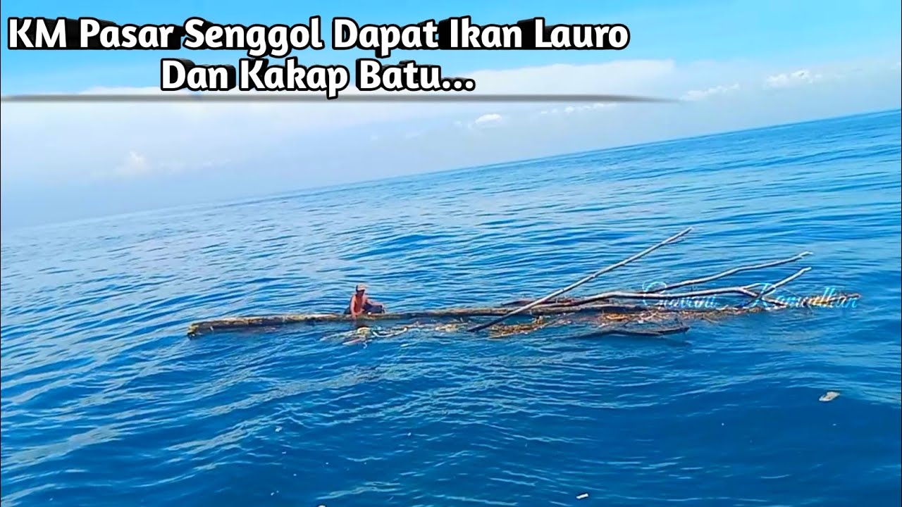 KM Pasar Senggol Mendapatkan Ikan Lauro dan kakap Batu...||24 Januari ...