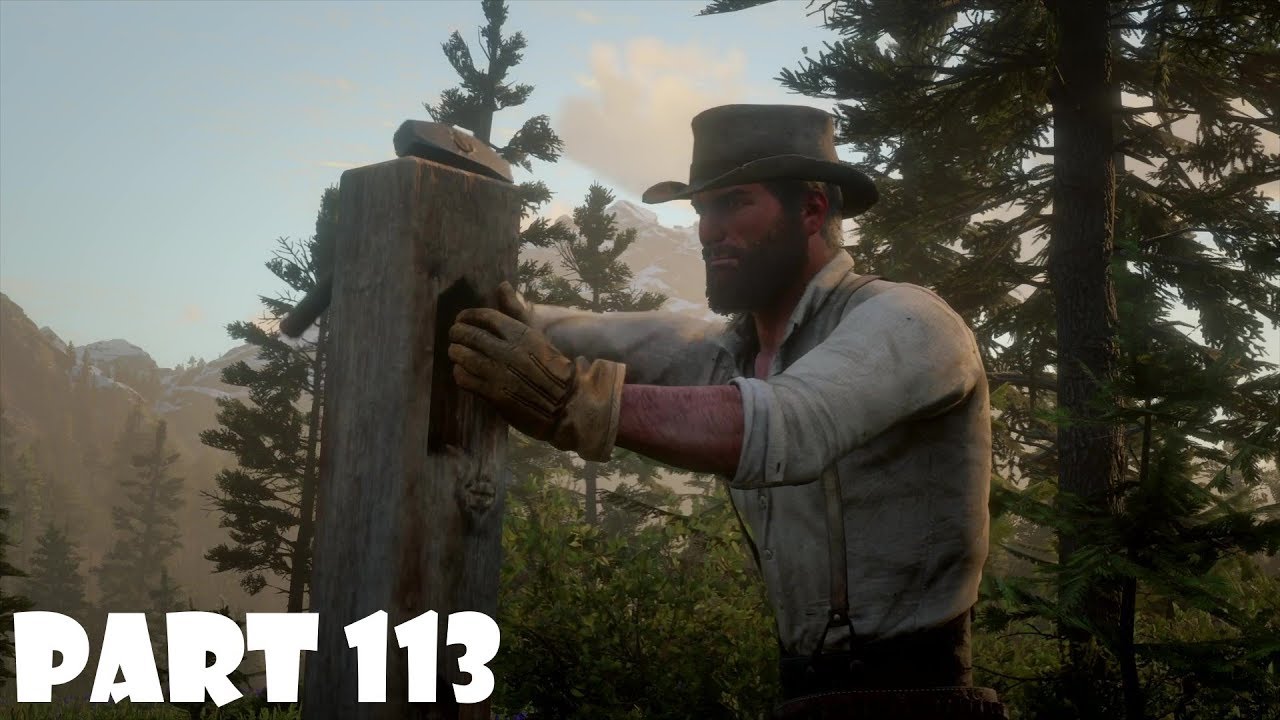 Red Dead Redemption 2 Walkthrough Part 113: Farming, For Beginners ...