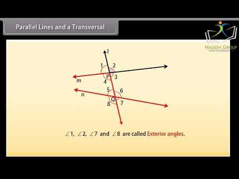 Class 9 MATHS || Chapter Lines and Angles || CBSE - YouTube