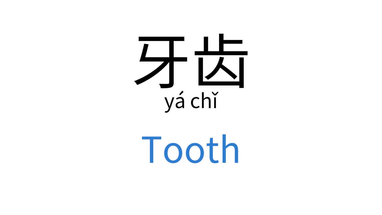 How to say "Tooth" in Chinese | 牙齿(yá chǐ) - YouTube