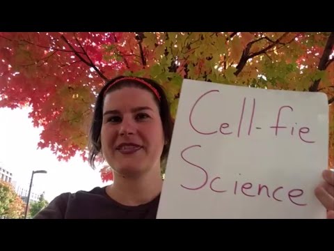 Cell-fie Science Ep 6 - Fall Leaf Chromatography - YouTube