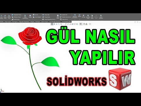 SolidWorks ile GÜL nasıl çizilir yada yapılır