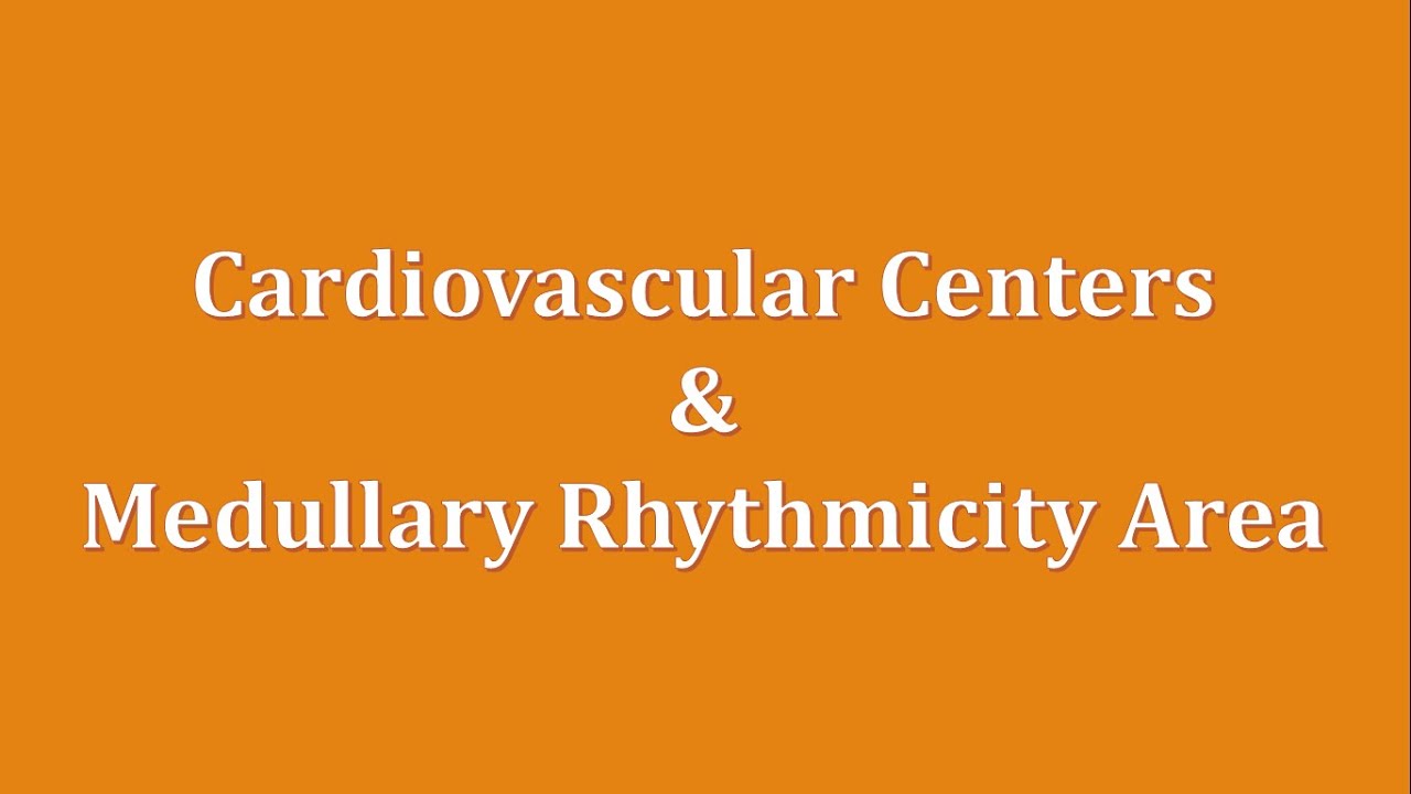 Explained: Cardiovascular centers and Rhythmicity area of Medulla - YouTube