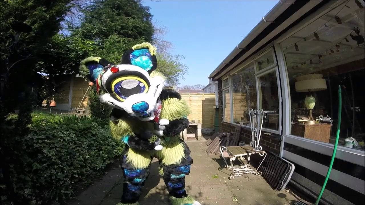 Cy the Cyclops Cat Costume - YouTube