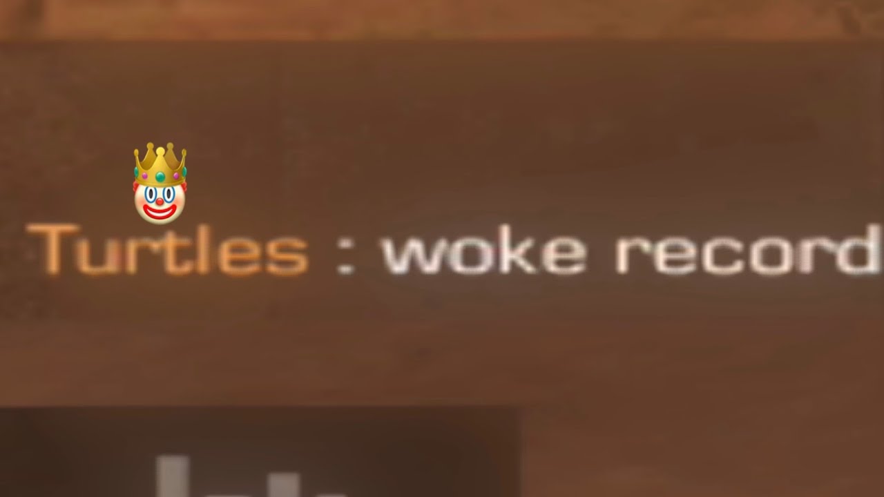 “Woke record” - Turtles🤡 | Scrim Highlights | Standoff 2 | #6 - YouTube