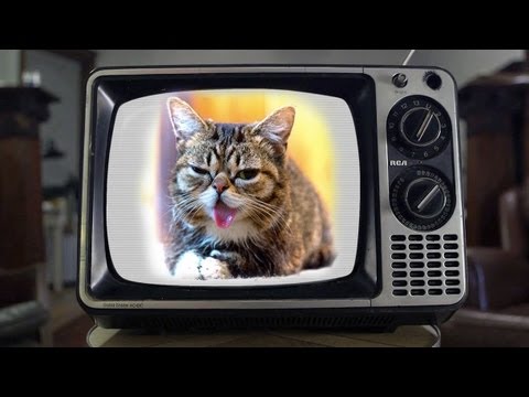 GOOD JOB BUB (June/July 2013) - YouTube
