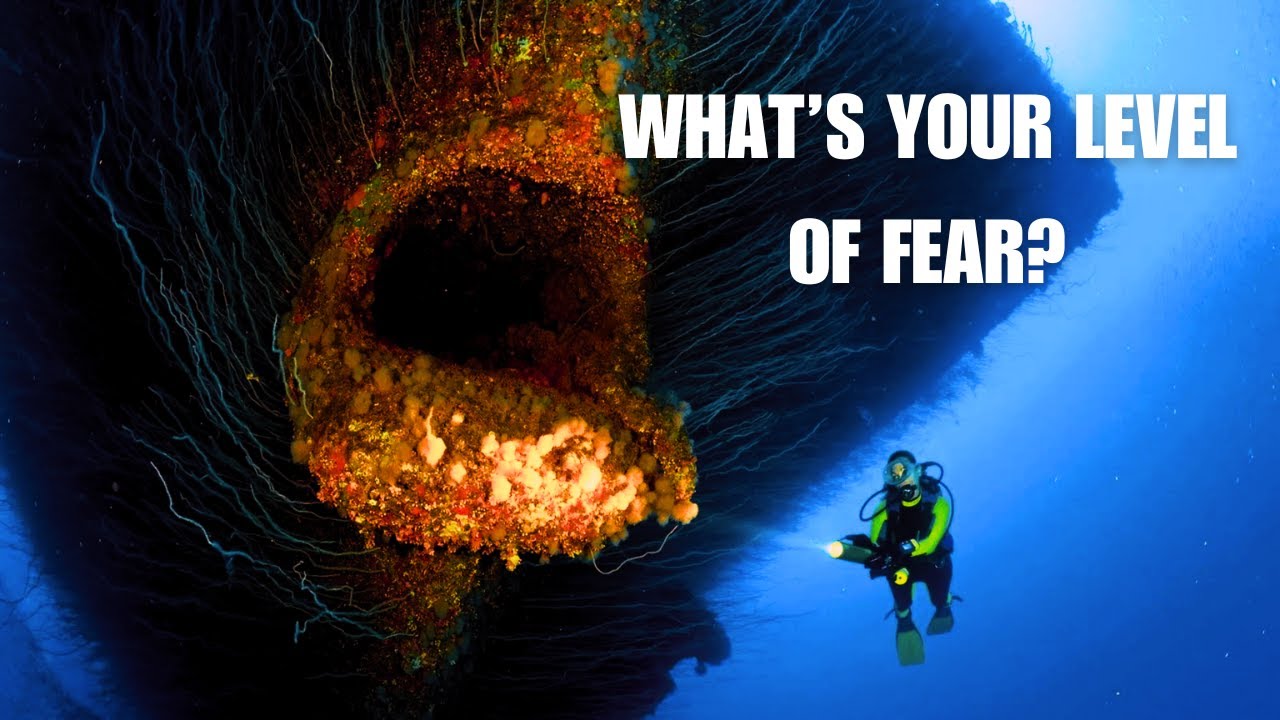 20 IMAGES TO TEST YOUR FEAR OF THE DEEP OCEAN (THALASSOPHOBIA) - YouTube