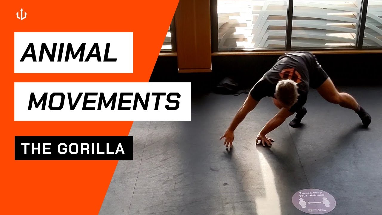 Gorilla Movement - YouTube