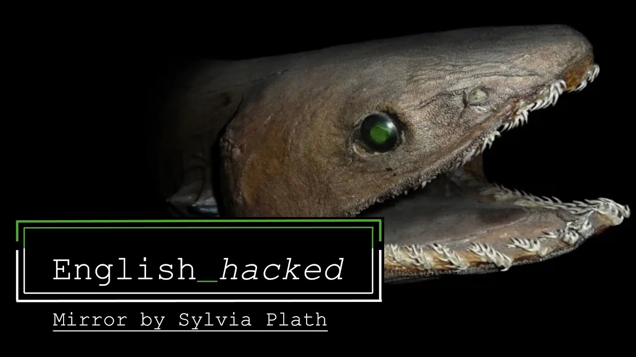 Mirror by Sylvia Plath _hacked (IEB poetry analysis) - YouTube