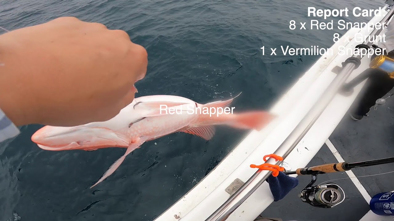 Catch & release Red Snappers - Cape Canaveral Party Boat in January ...