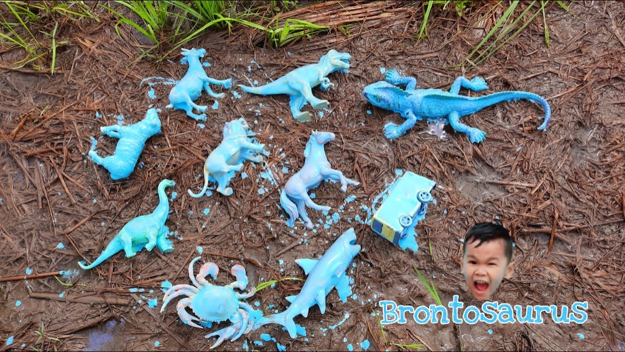menemukan dan membersihkan mainan Brontosaurus, Tirex, kepiting, kuda ...