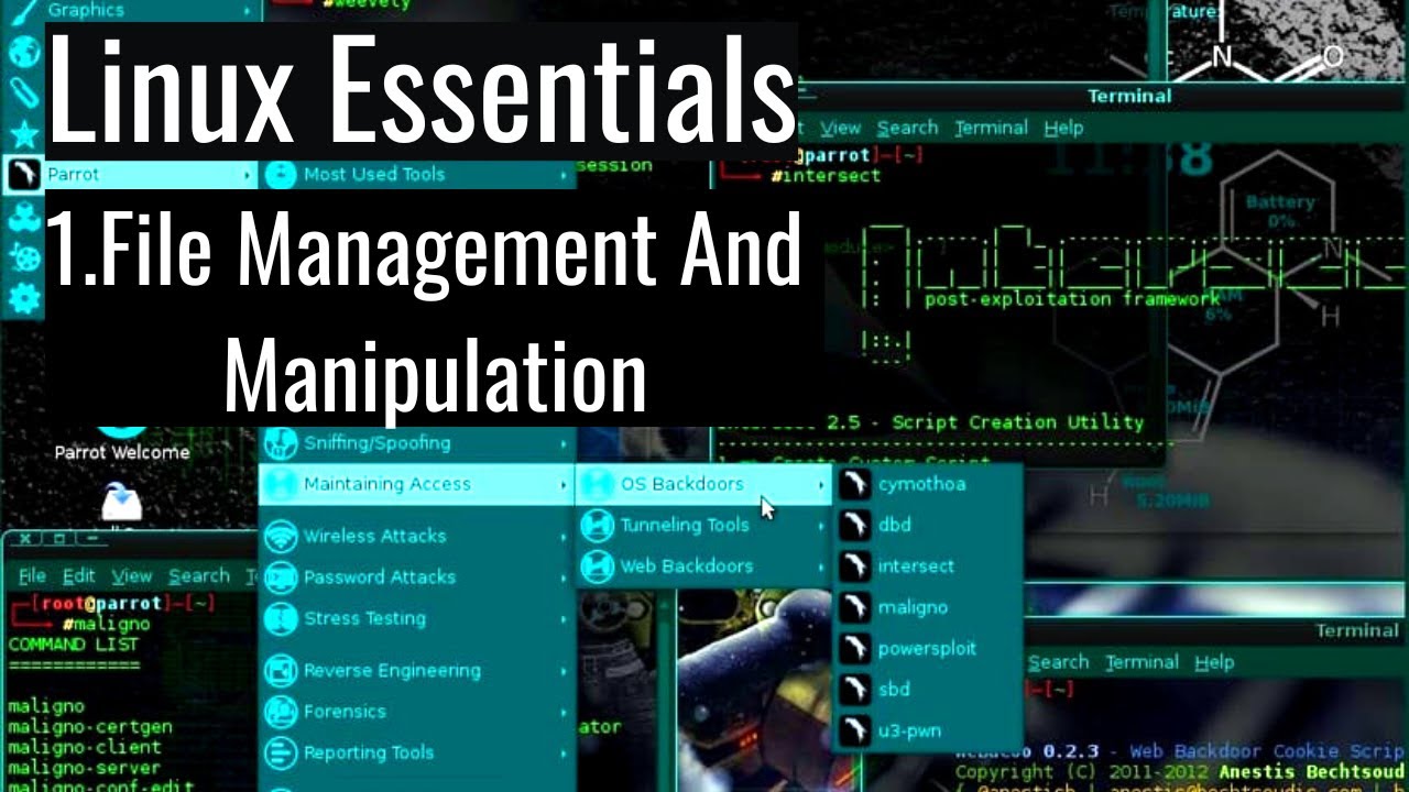 Linux Essentials: 1.File Management And Manipulation | Linux File ...
