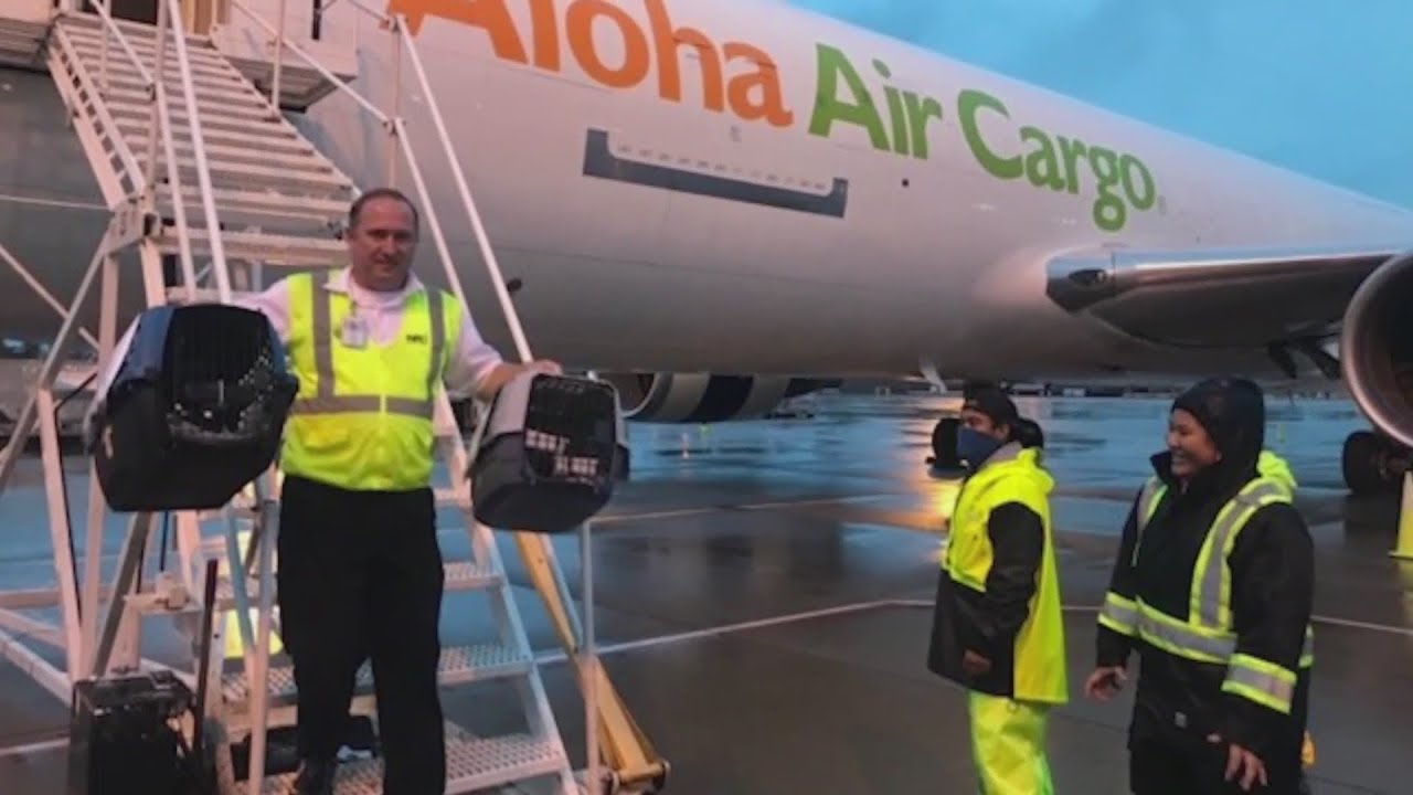 Aloha Air Cargo - YouTube