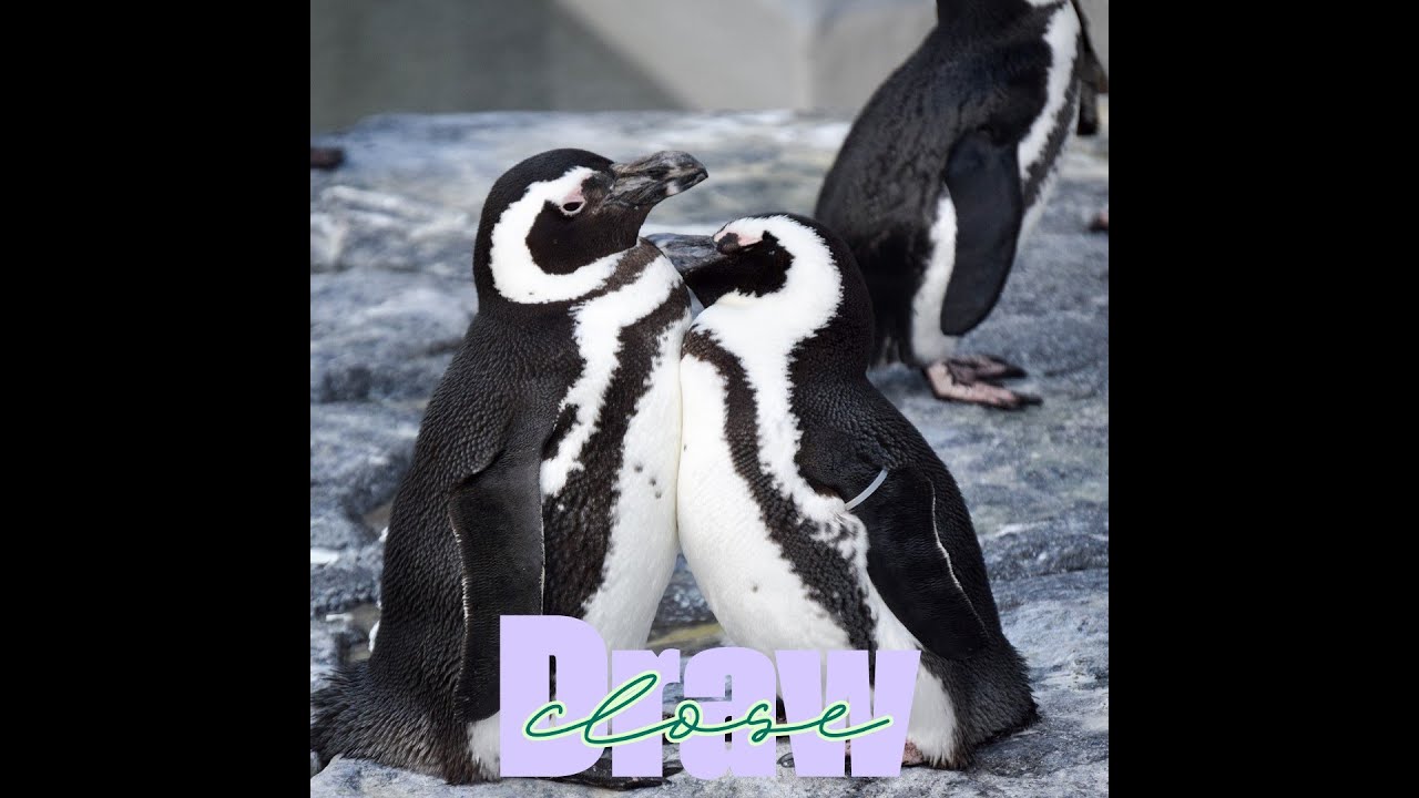 Draw Close - YouTube