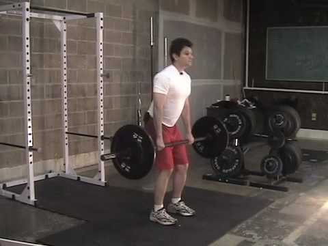 How to do a Bent Over Row - YouTube
