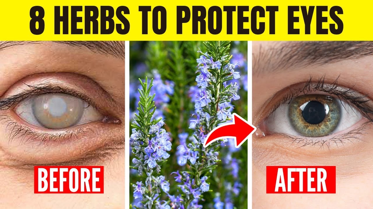 8 Herbs to Protect Eyes and Repair Vision - YouTube