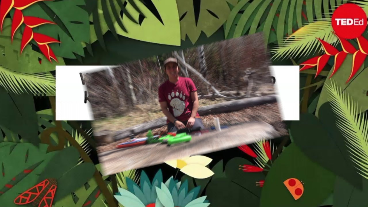 What is Biodiversity? (Middle School Virtual Field Trip) - YouTube